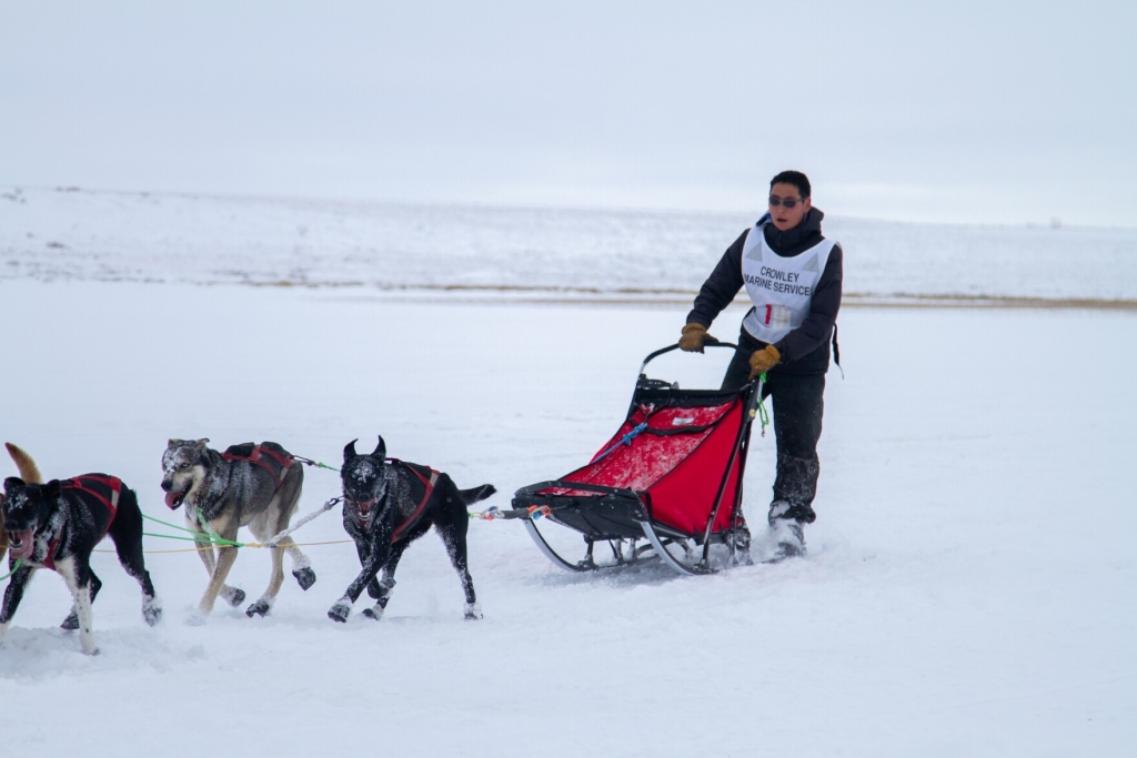 b. Nitro S48 Sled – Prairie Bilt Sleds